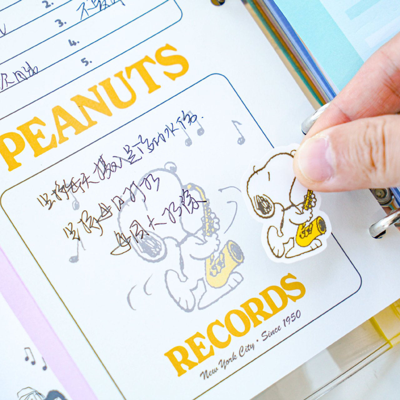 Peanuts Snoopy Transparent Binder - Peanuts Records - Limited Edition ...